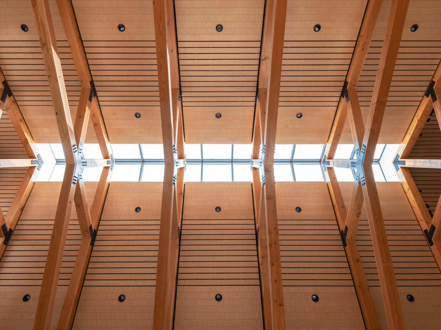 Rethinking Proportion - Texas Architect Magazine
